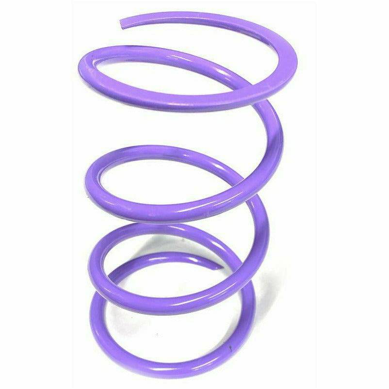 Polaris RZR Turbo Secondary Springs – R1 Industries